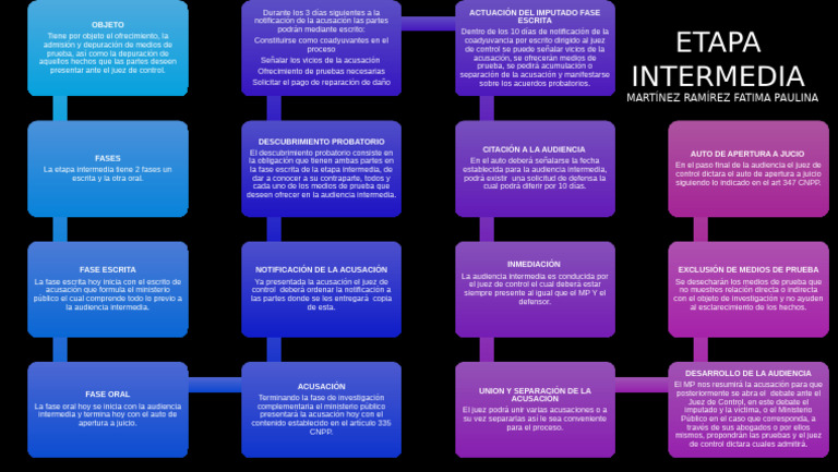 Esquema Etapa Intermedia | PDF | Justicia | Crimen y violencia
