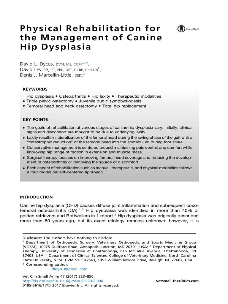 Canine Hip Dysplasia Rehabilitation Guide | PDF | Hip | Physical Therapy