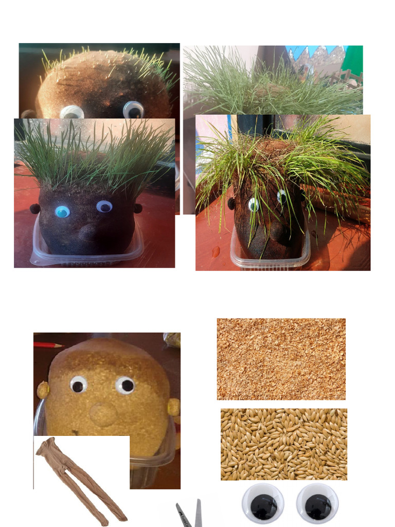 MR Grass Kleber | PDF