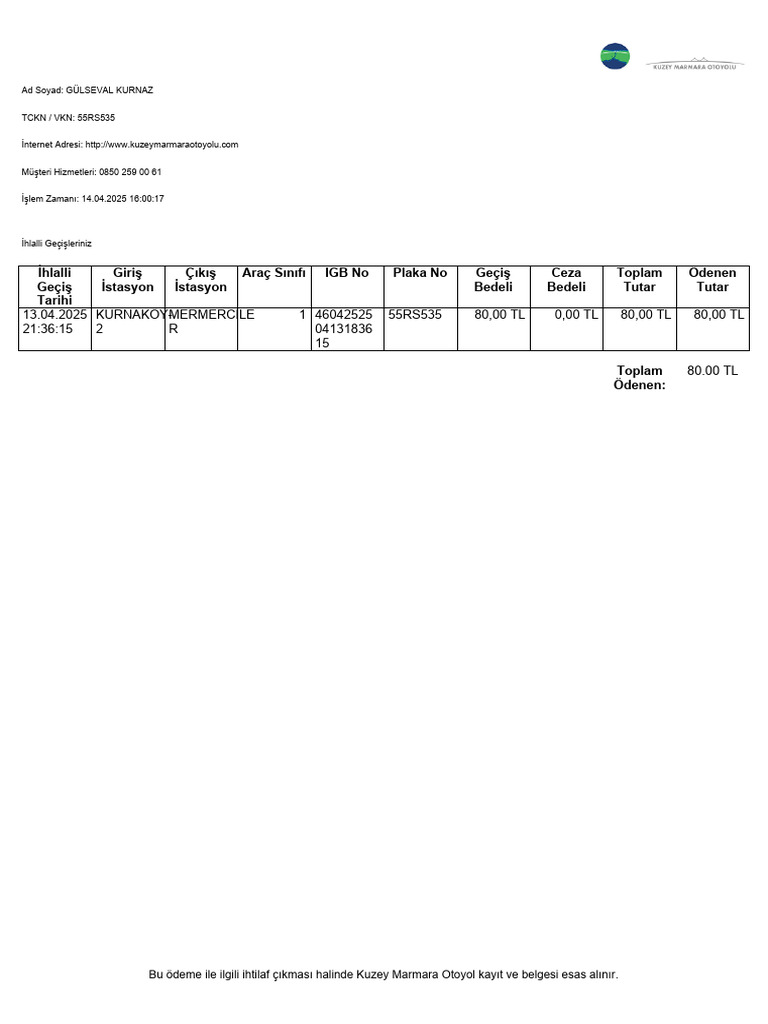 Debt Payment Invoice Report | PDF