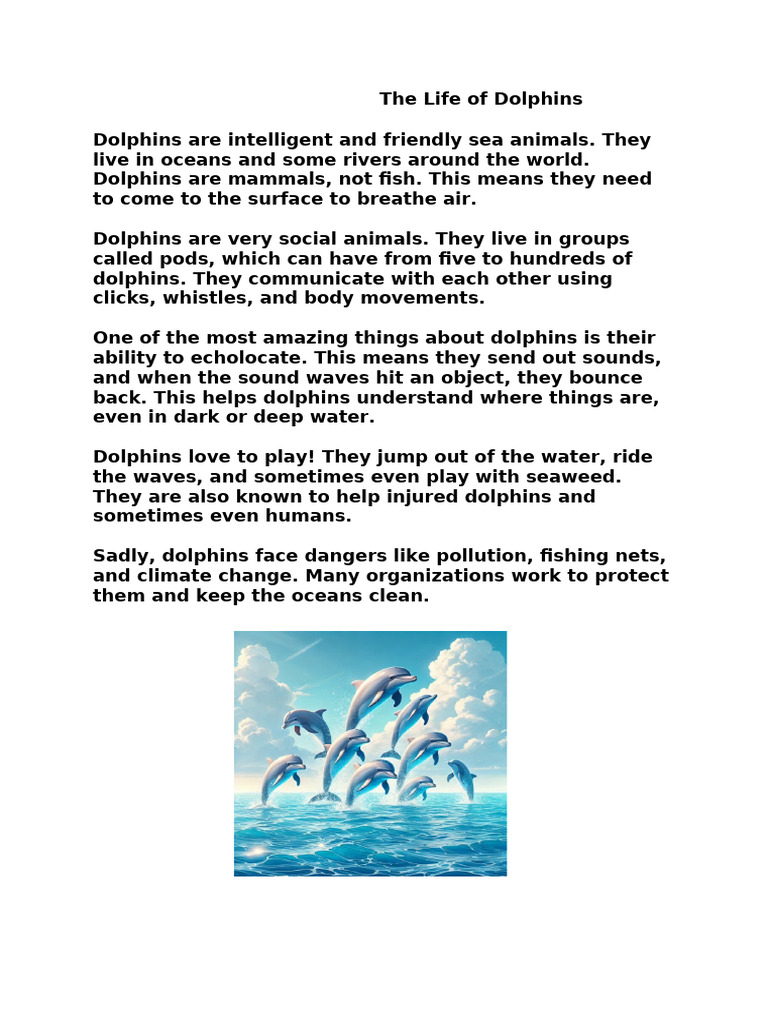 Dolphins | PDF | Dolphin | Marine Mammals
