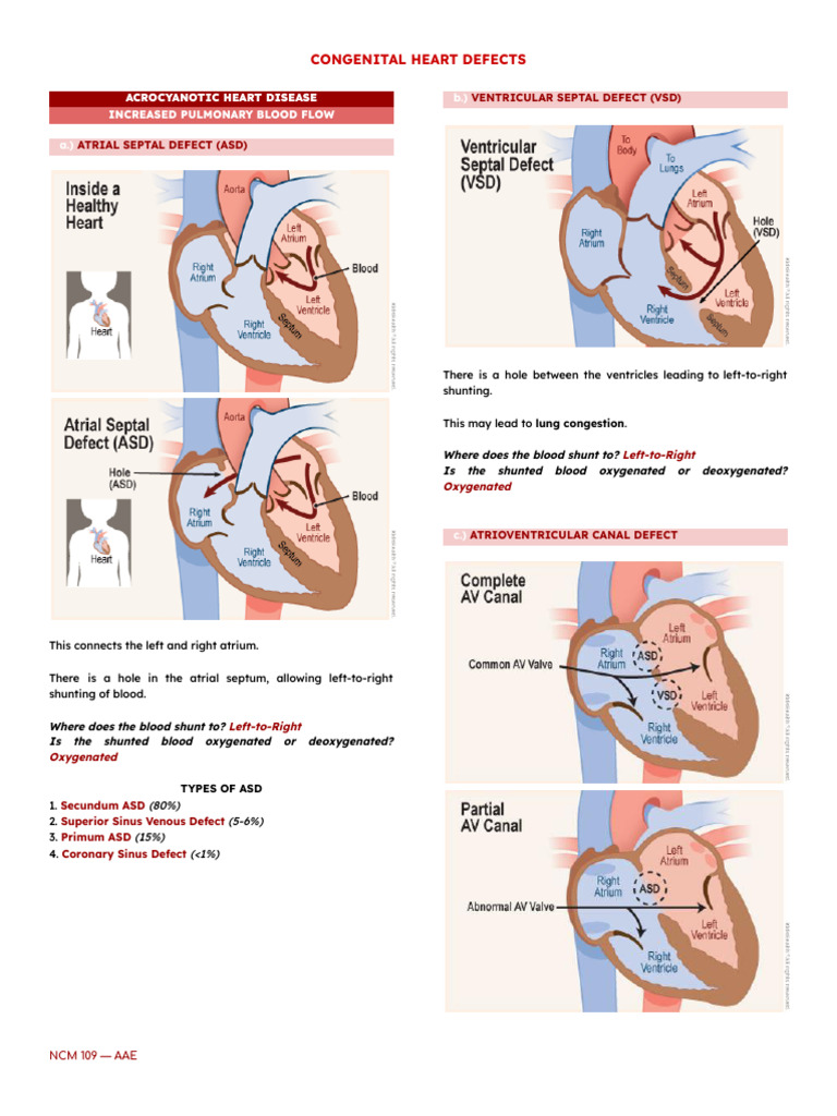 Congenital Heart Defects | PDF | Atrium (Heart) | Congenital Heart Defect