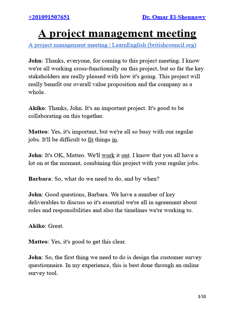 Project Management Meeting Insights | PDF | Perfect (Grammar) | Linguistics