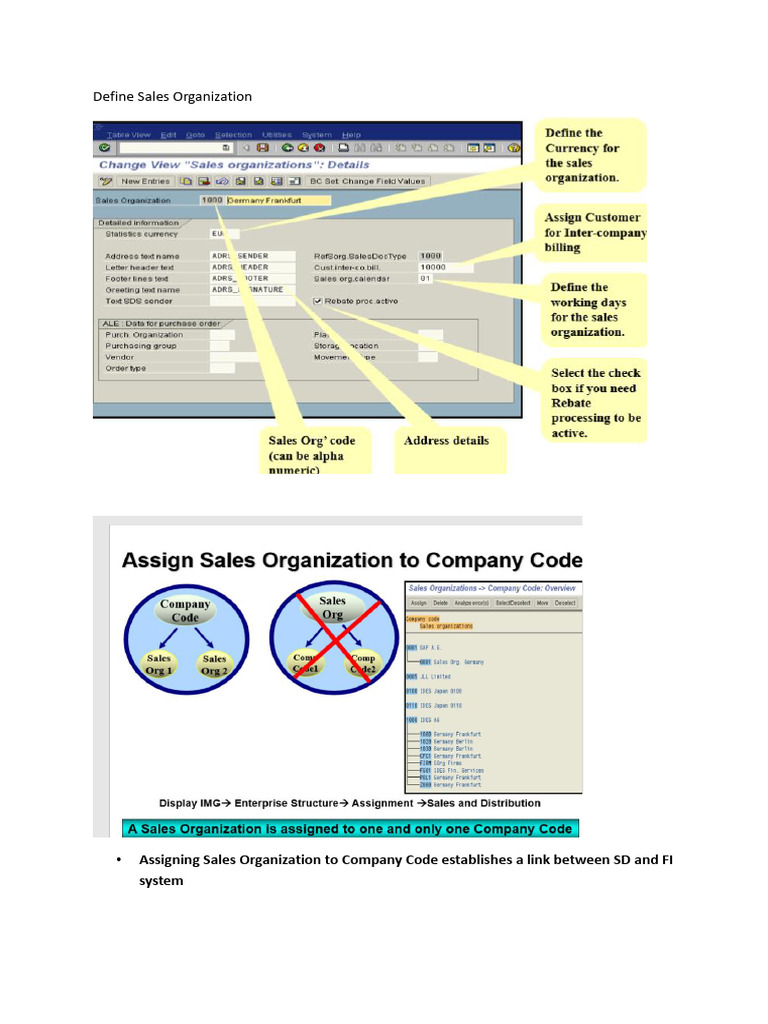 Understanding Sales Organization Linkage | PDF