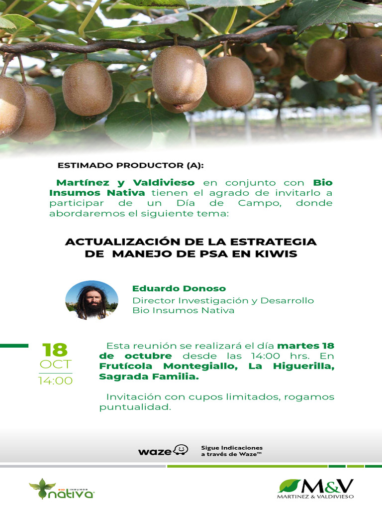 1018 Invitación Día de Campo Kiwis | PDF