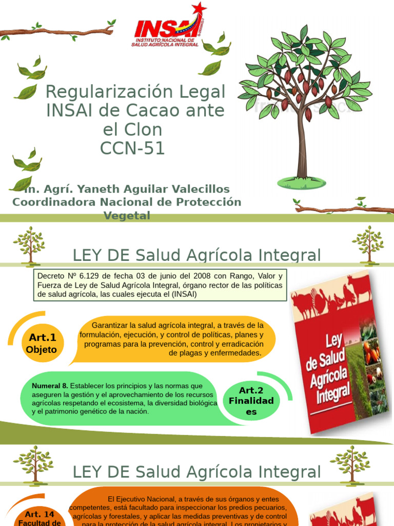 Norma Juridica Insai Ante Clon CCN-51 | PDF