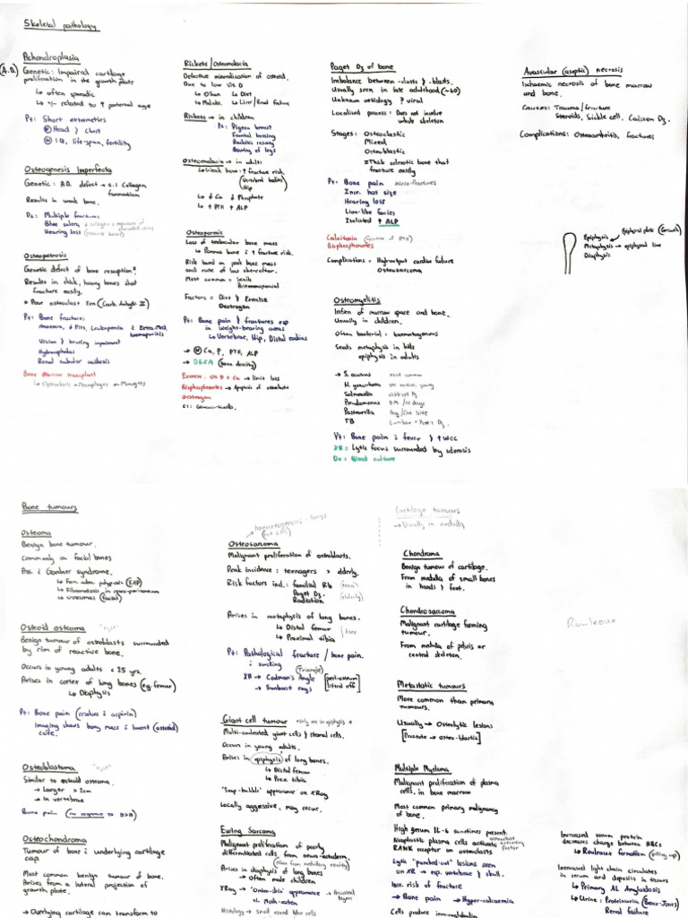 (Notes) Ortho 2 (Skeletal Pathology) | PDF