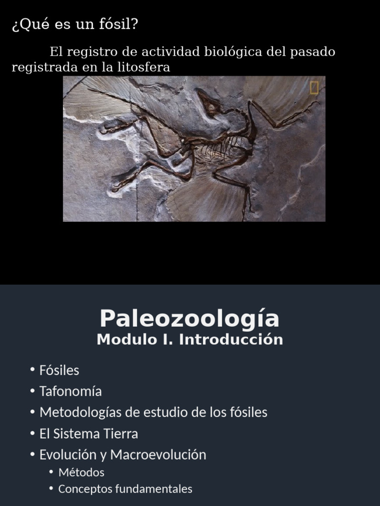1 Paleozoo Bloque I Introduccion - Metodos 2024 - 25 | PDF | Era de ...