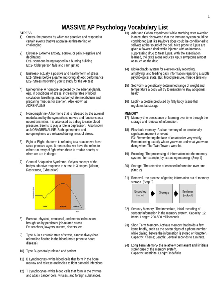 MASSIVE AP Psychology Vocabulary List-1 | PDF | Nervous System | Brain