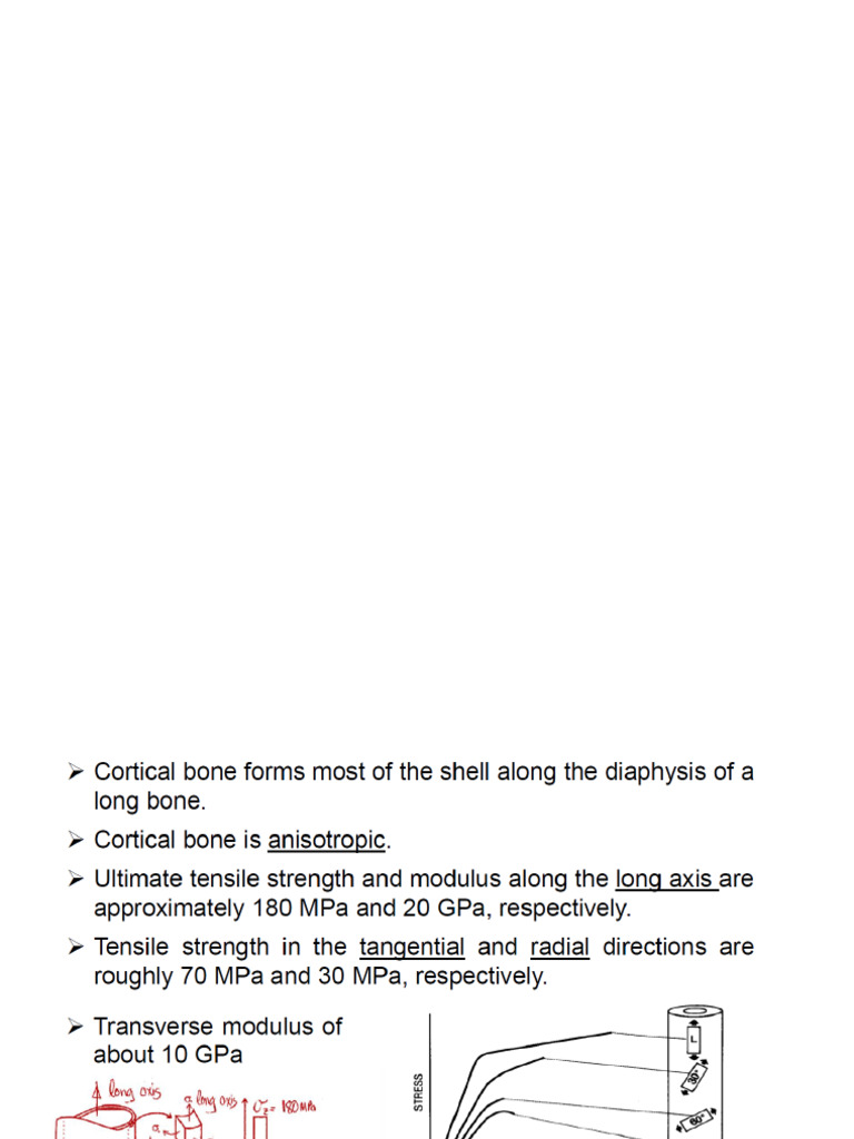 ENGG3170 Lecture-15-16 | PDF | Cartilage | Tendon