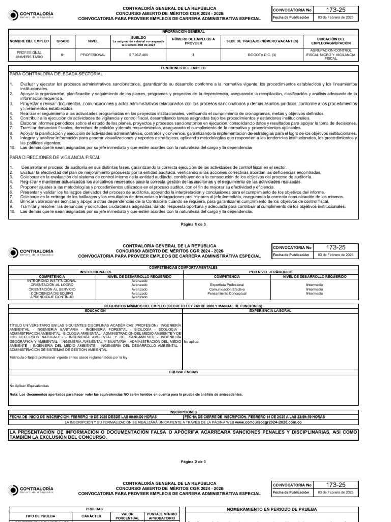 173-25 | PDF | Auditoría | Planificación