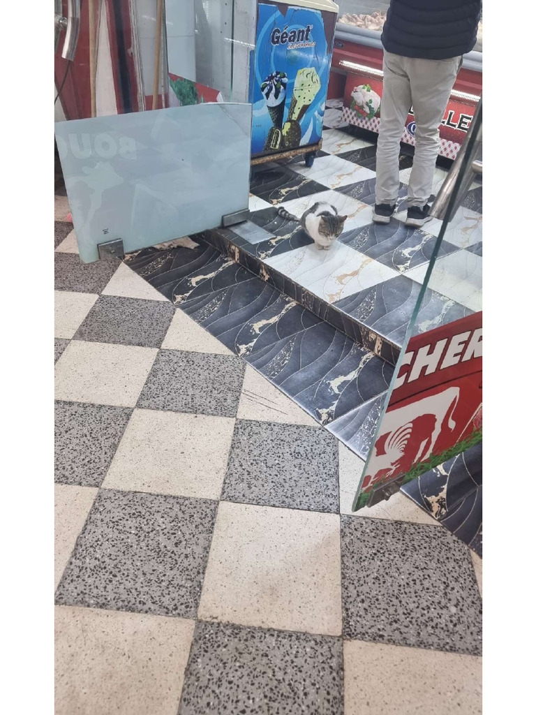 20250413_180401 | PDF