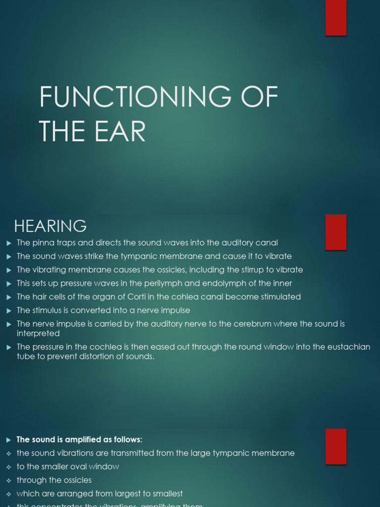 Functioning of The Ear-1 | PDF | Ear | Hearing