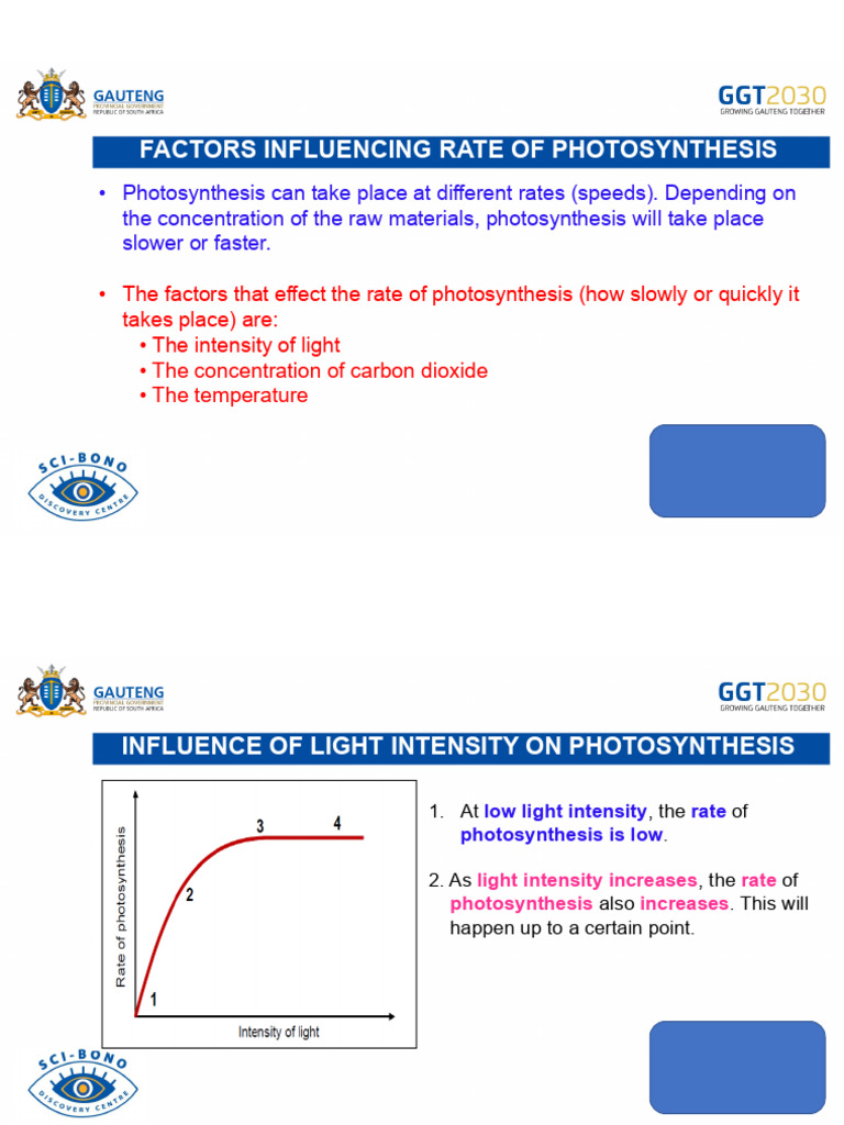Factors Influencing Rate of Photosynthesis | PDF | Photosynthesis ...