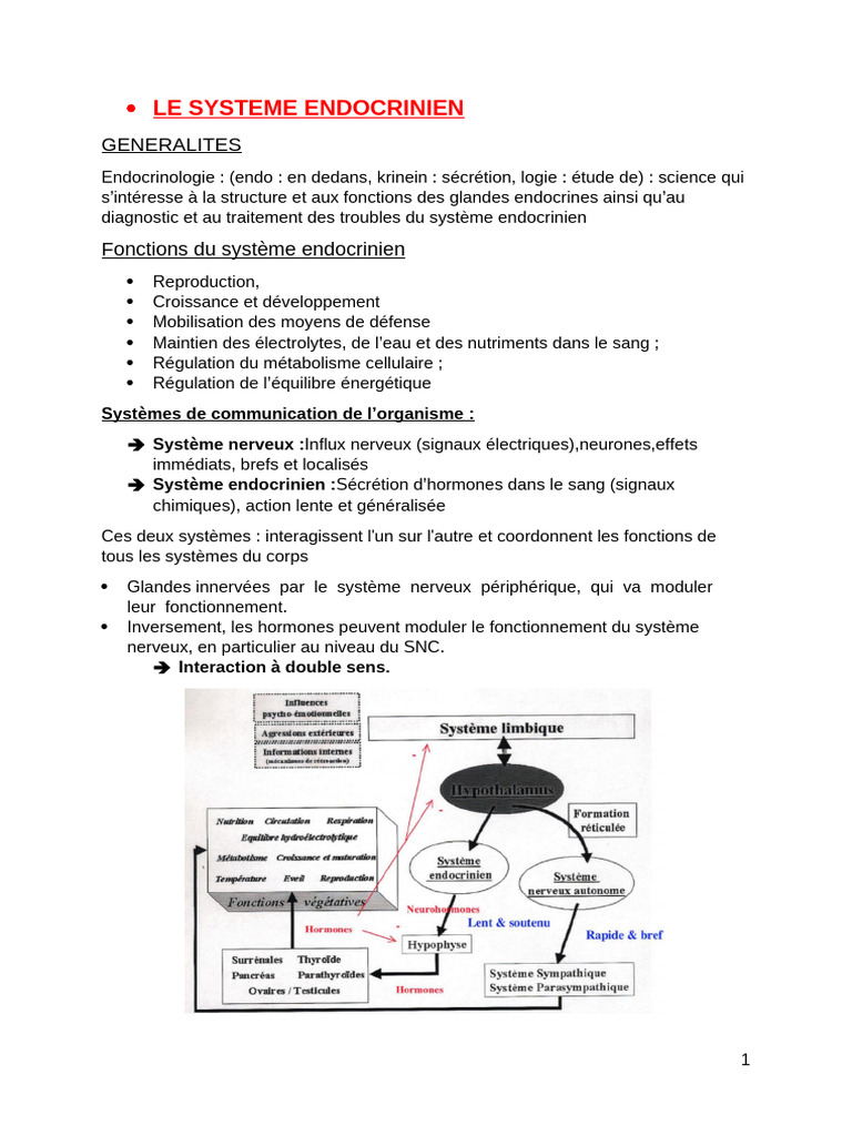 Ue 2.2 S1 Le Systeme Endocrinien | PDF | Hormone | Hypophyse