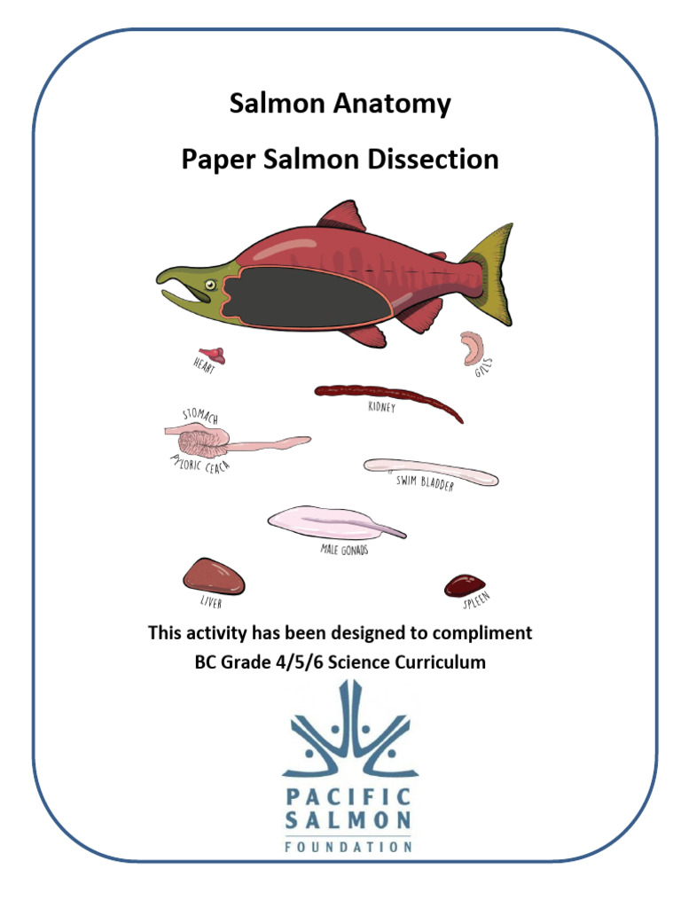 PSF Salmon Paper Dissection Childrens Educational Activity | PDF ...