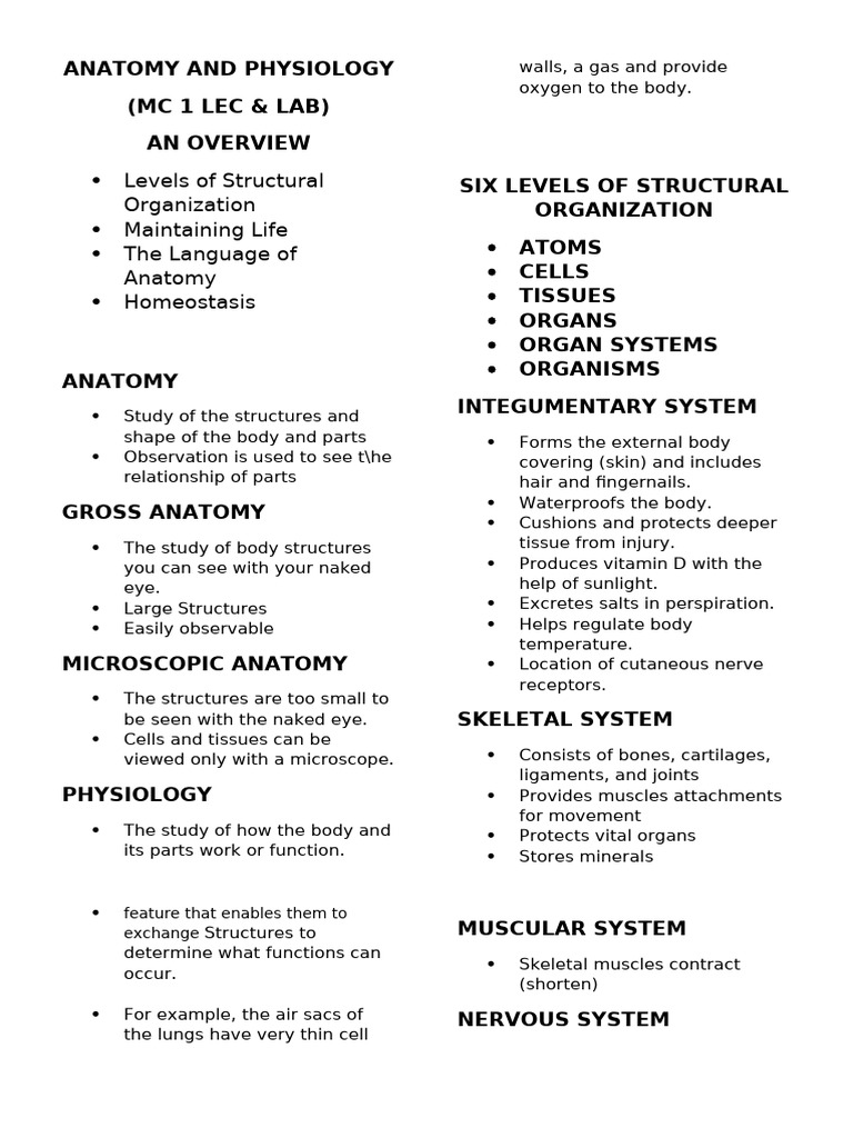 Anaphy Notes (AutoRecovered) | PDF | Human Body | Anatomical Terms Of ...