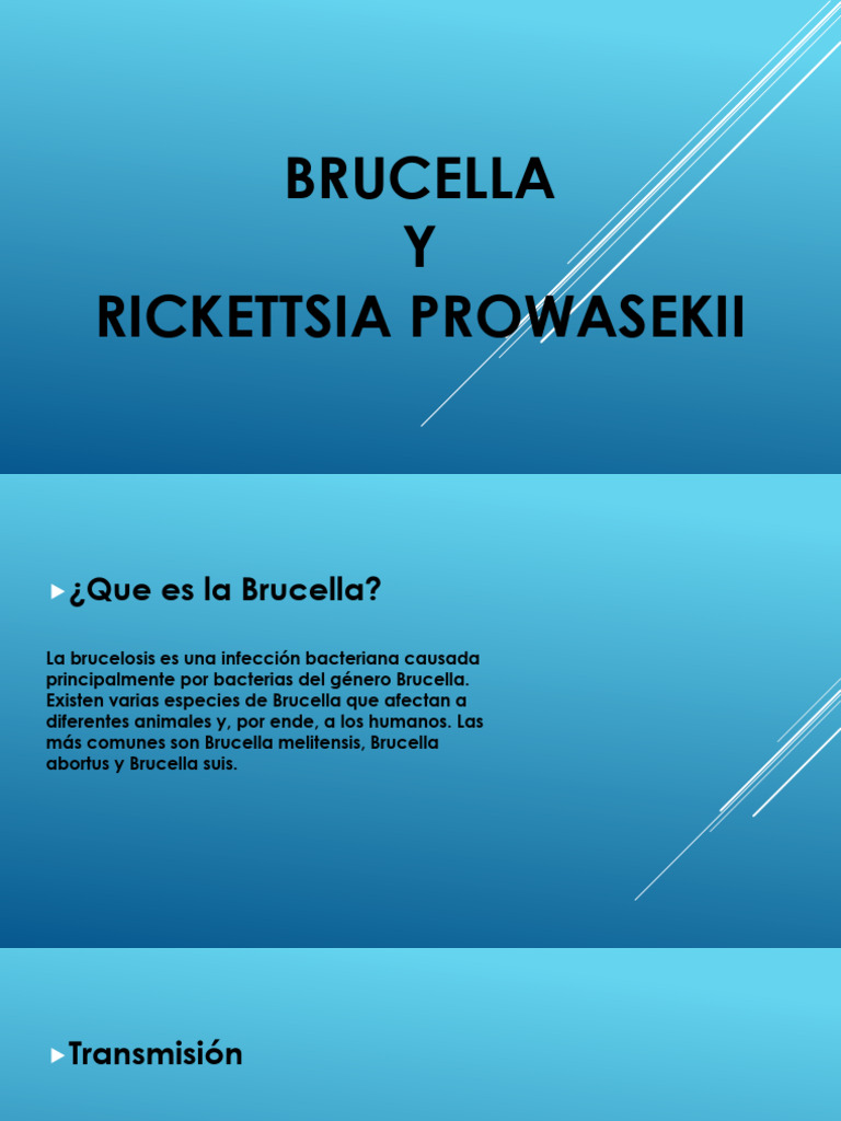 Brucella y Rickettsia Prowazekii: Infecciones | PDF | Enfermedades y ...