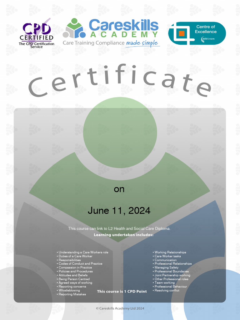 Claude Laeticia Ngako Tchamabe - A Care Workers Role - 11 Jun 2024 | PDF