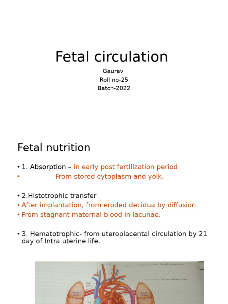 Fetal Circulation | PDF