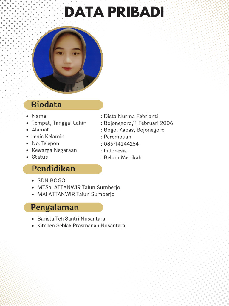 Data Pribadi Lamaran Kerja._20250406_151224_0000 | PDF