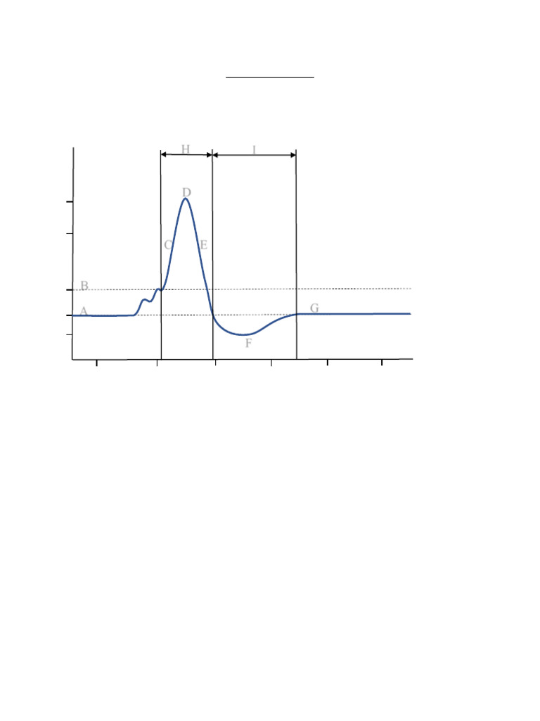 Action Potential Phases and Mechanisms | PDF | Action Potential ...