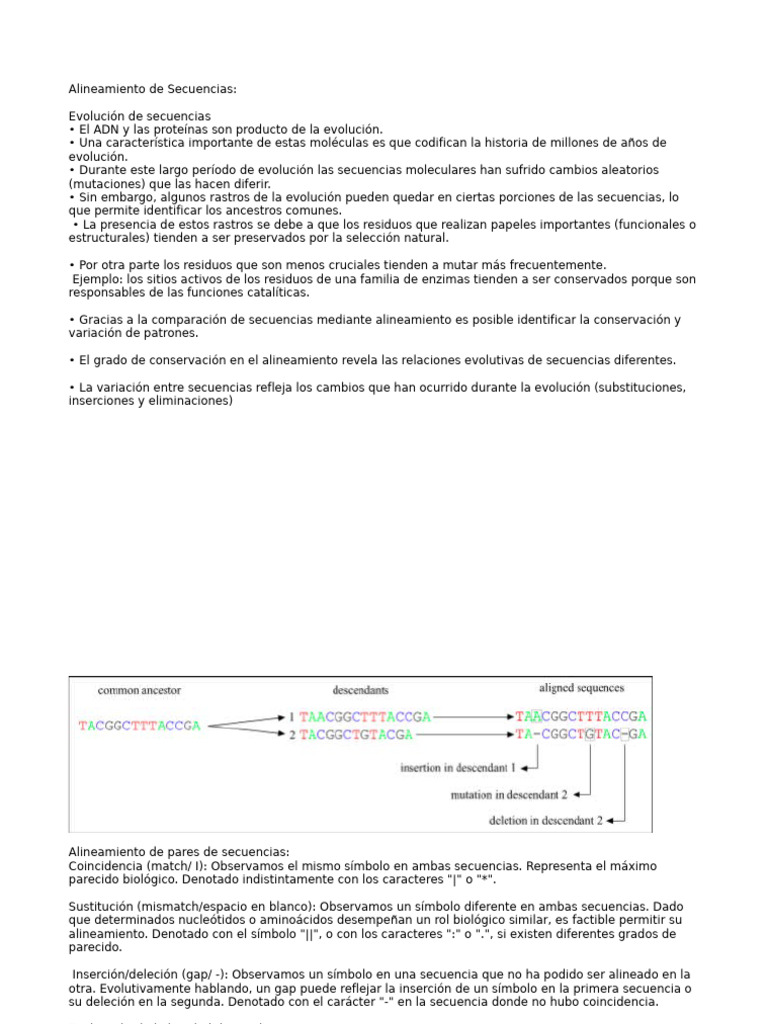 fORMULARIO FINAL P2 | PDF | Alineación de secuencia | Matemáticas Aplicadas