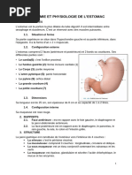 Anatomie et Vascularisation de l'Estomac | PDF | Estomac | Foie