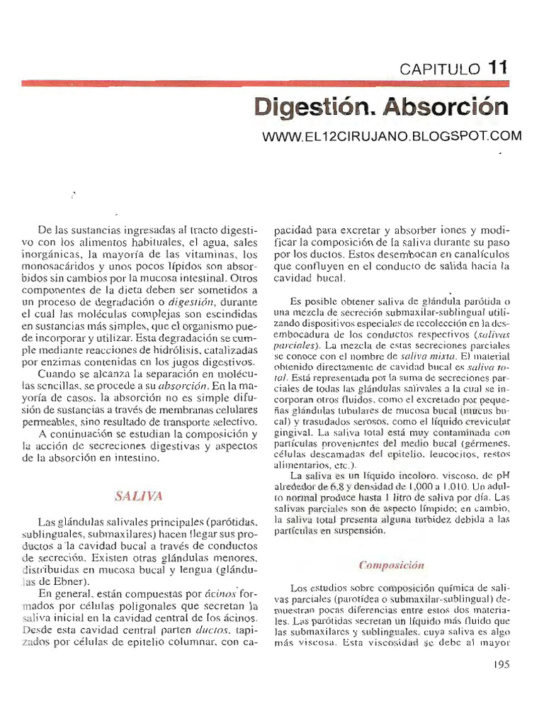 digestion absorcion. bioquimica | PDF