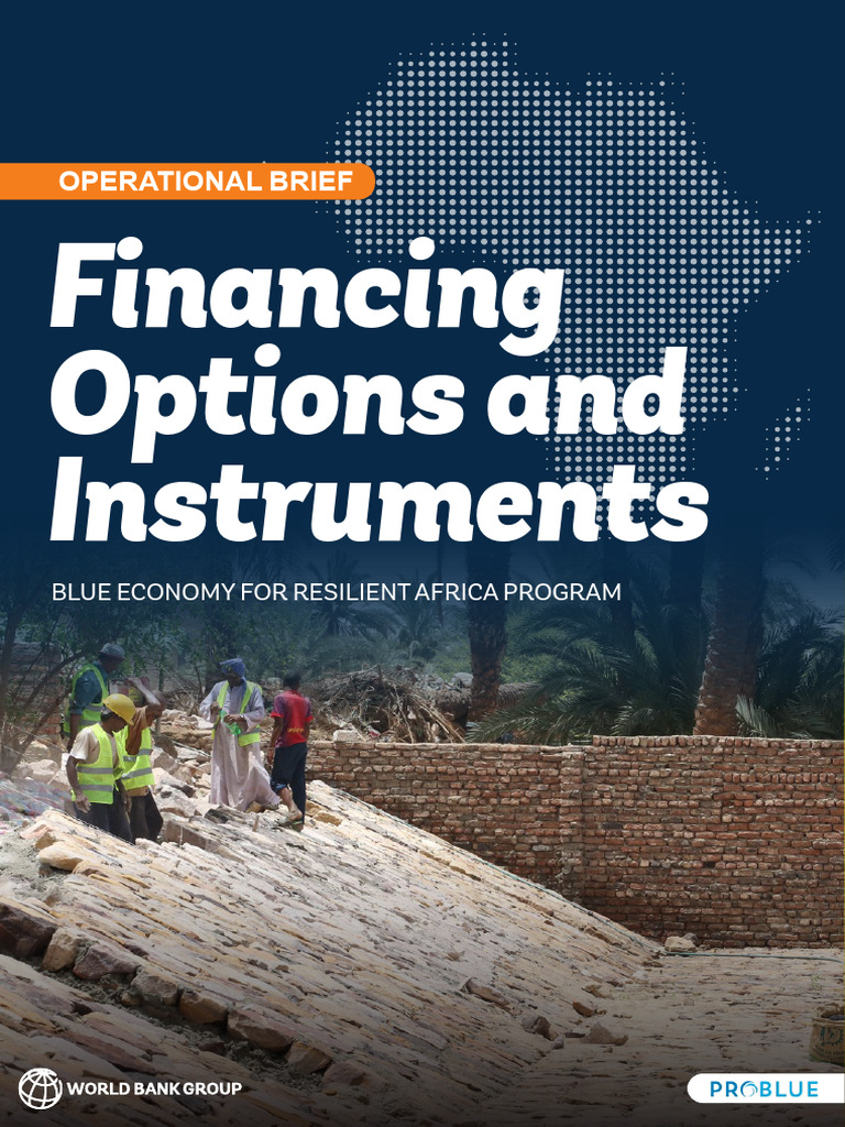 Financing Options and Instruments | PDF | Sustainability | Economies
