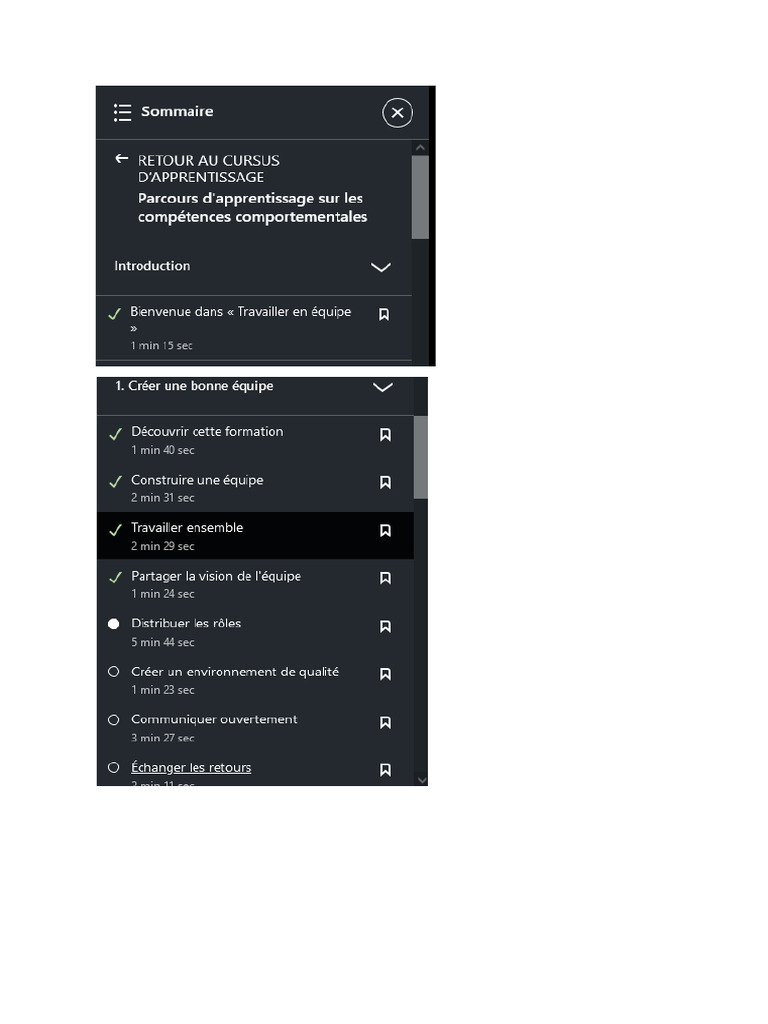 Sommaire Du Cours Travailler en Équipe | PDF