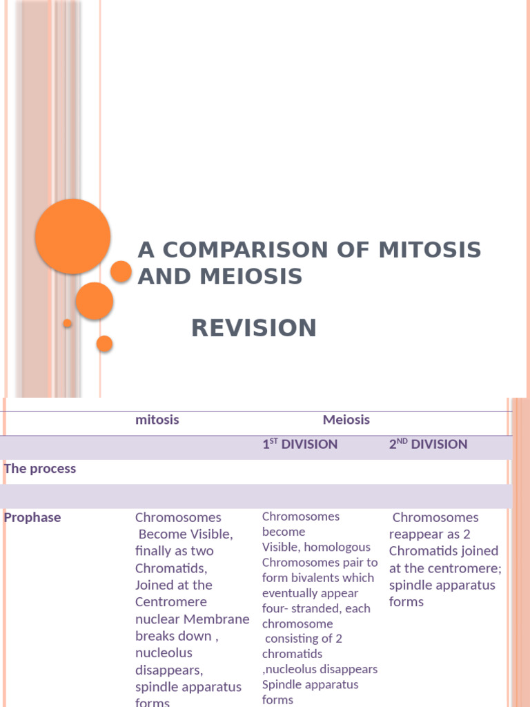 Bio 111 Meiosis-Mitosis 10 | PDF | Meiosis | Mitosis