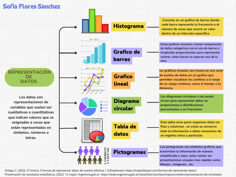 Mapa Conceptual | PDF