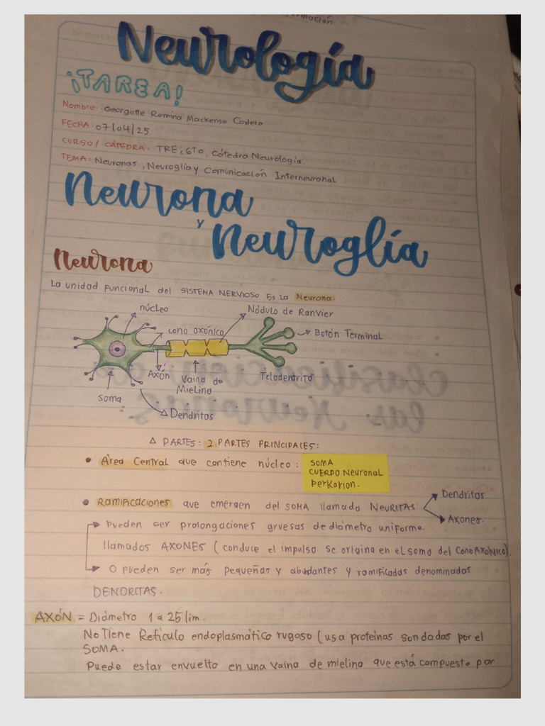 Neuro Grupo 1 y 2 - 250412 - 174607 | PDF