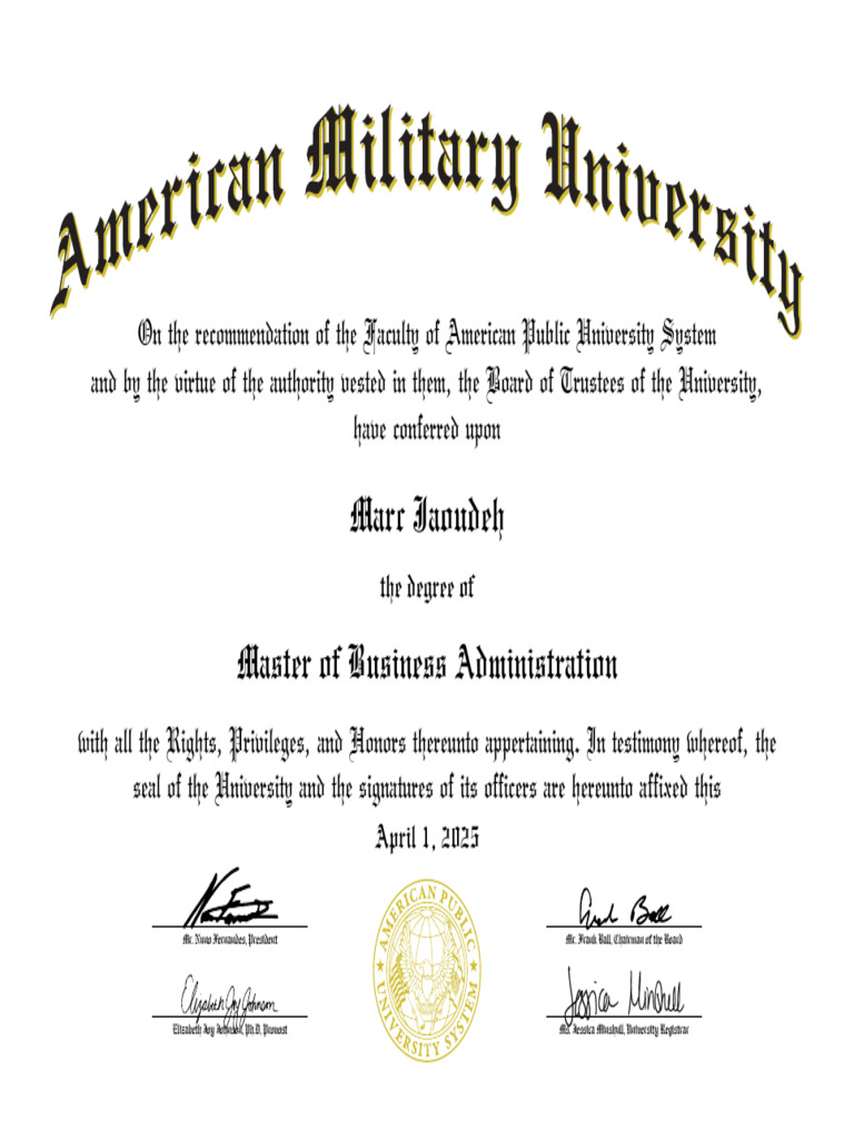 AMU Digital Diploma | PDF