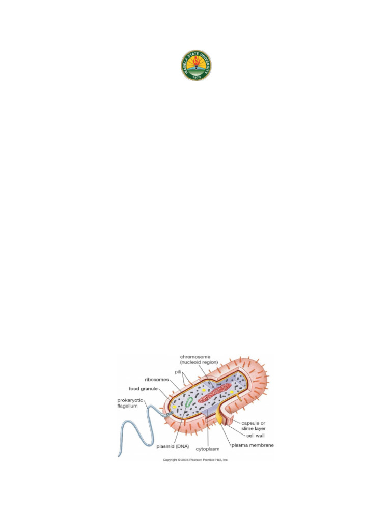 Structure and Organization of Cells | PDF | Cell (Biology) | Prokaryote