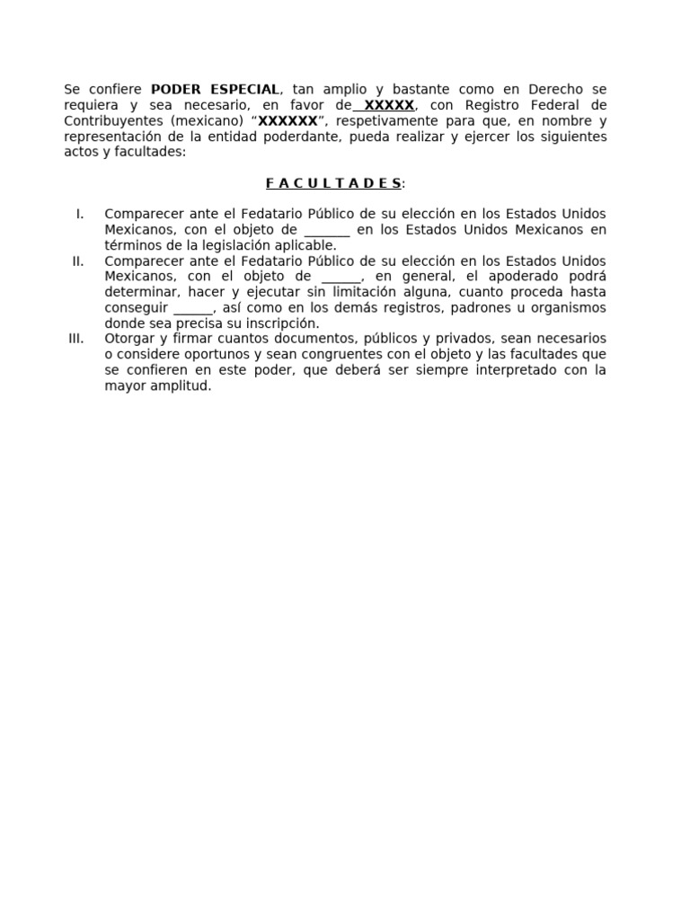 Modelo Poder Especial (Extranjero) | PDF