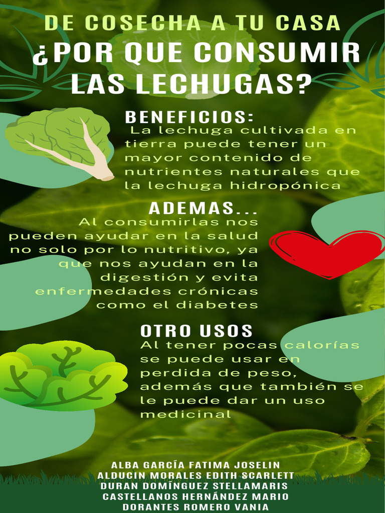 Poster de La Lechuga | PDF