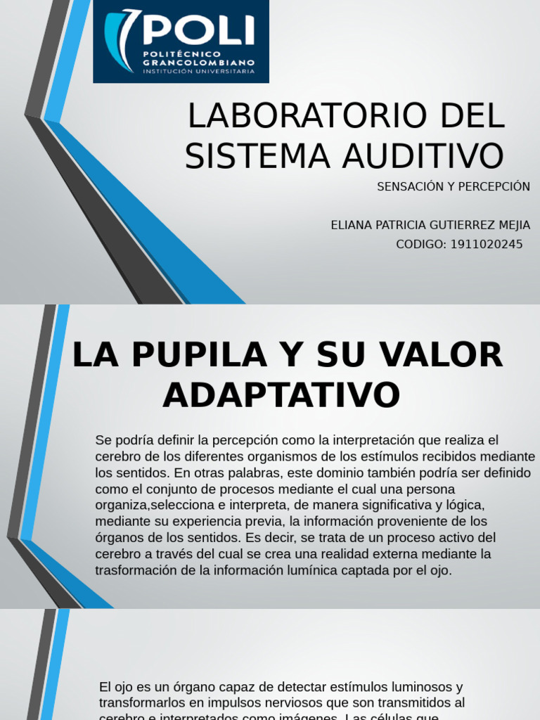 Entrega 1 - Escenario 3 - Sensacion y Percepcion-Tutor-Mary Natalia ...