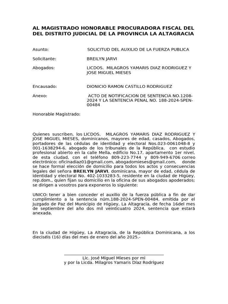 Instacia Solic. Fuerza Pub | PDF