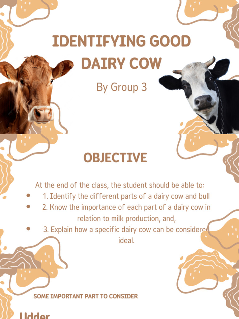Identifying Good Dairy Cow - 20250327 - 132408 - 0000 - 012535 | PDF