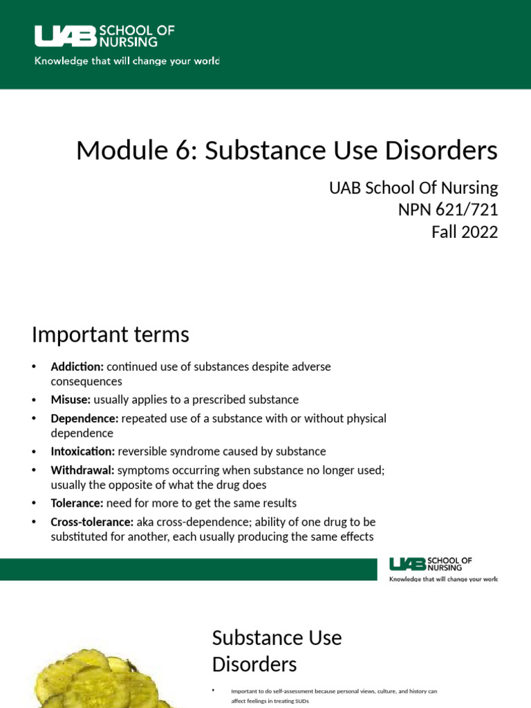 Understanding Substance Use Disorders | PDF | Substance Use Disorder ...