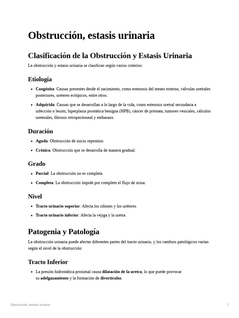 Clasificación y Tratamiento de Obstrucción Urinaria | PDF | Sistema ...