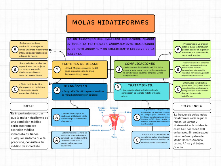 Grafico Mapa Conceptual Proyecto Creativo Multicolor - 20250413 ...