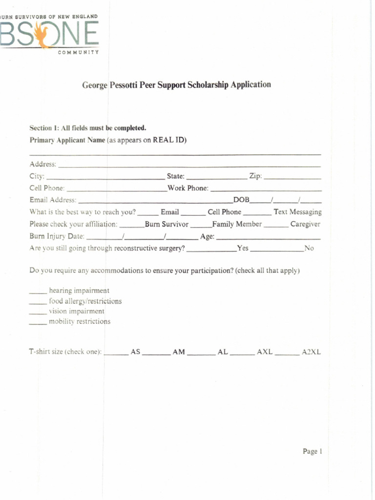 BSONE Pessotti WBC 2025 Scholarship Application | PDF