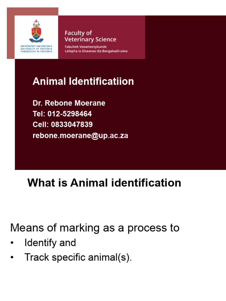 Animal Identification Overview | PDF | Food Safety | Animals And Humans