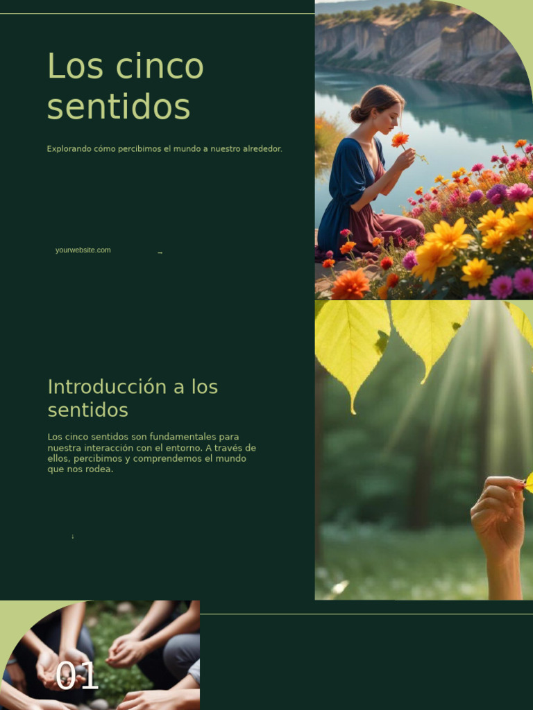 Los Cinco Sentidos | PDF | Sentidos | Percepción