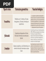 Estructura y función de la cápside viral | PDF | Biología Celular ...