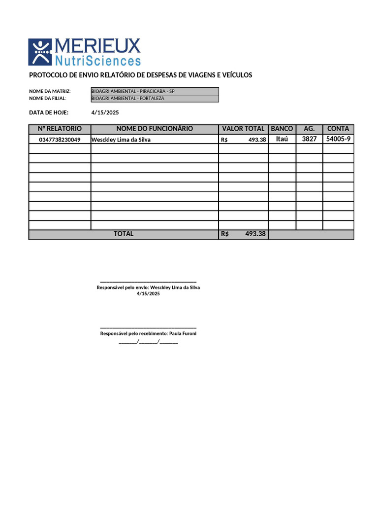 Modelo Protocolo RDV 0029 | PDF