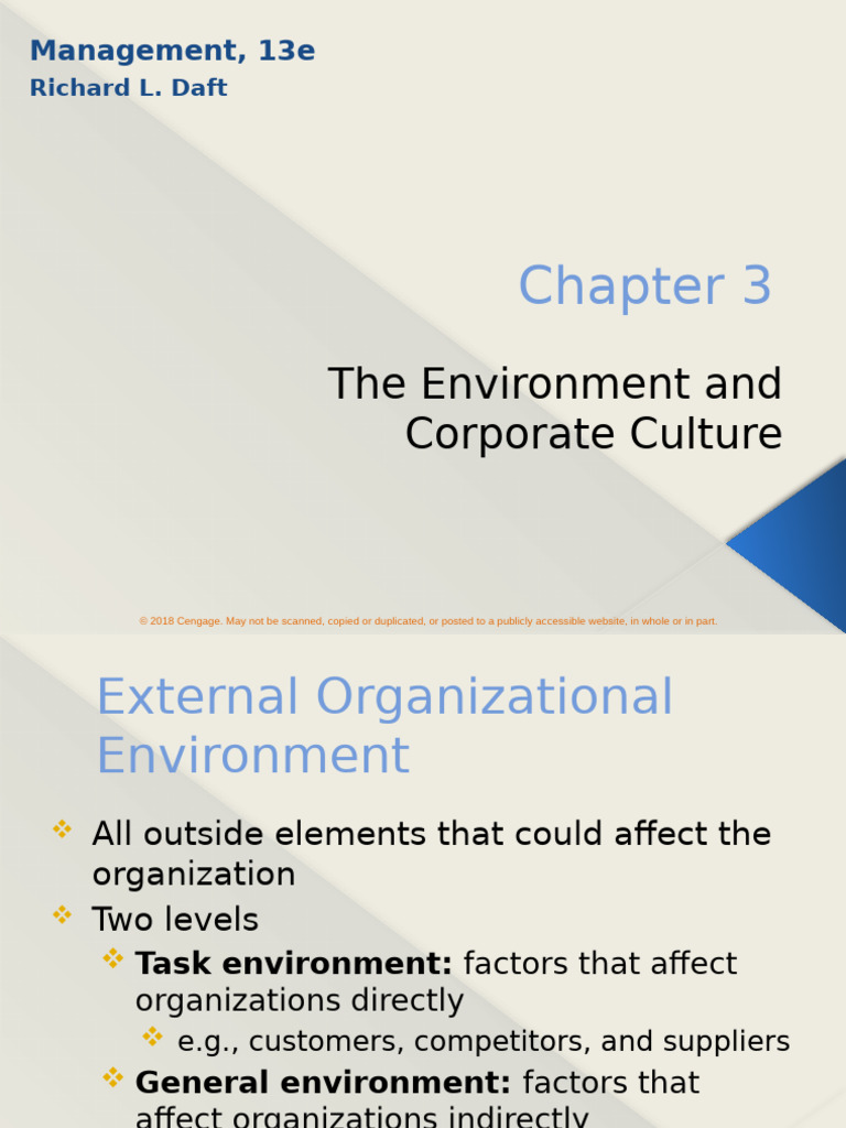Daft Mngt13e PPT ch03 | PDF | Organizational Culture | Natural Environment
